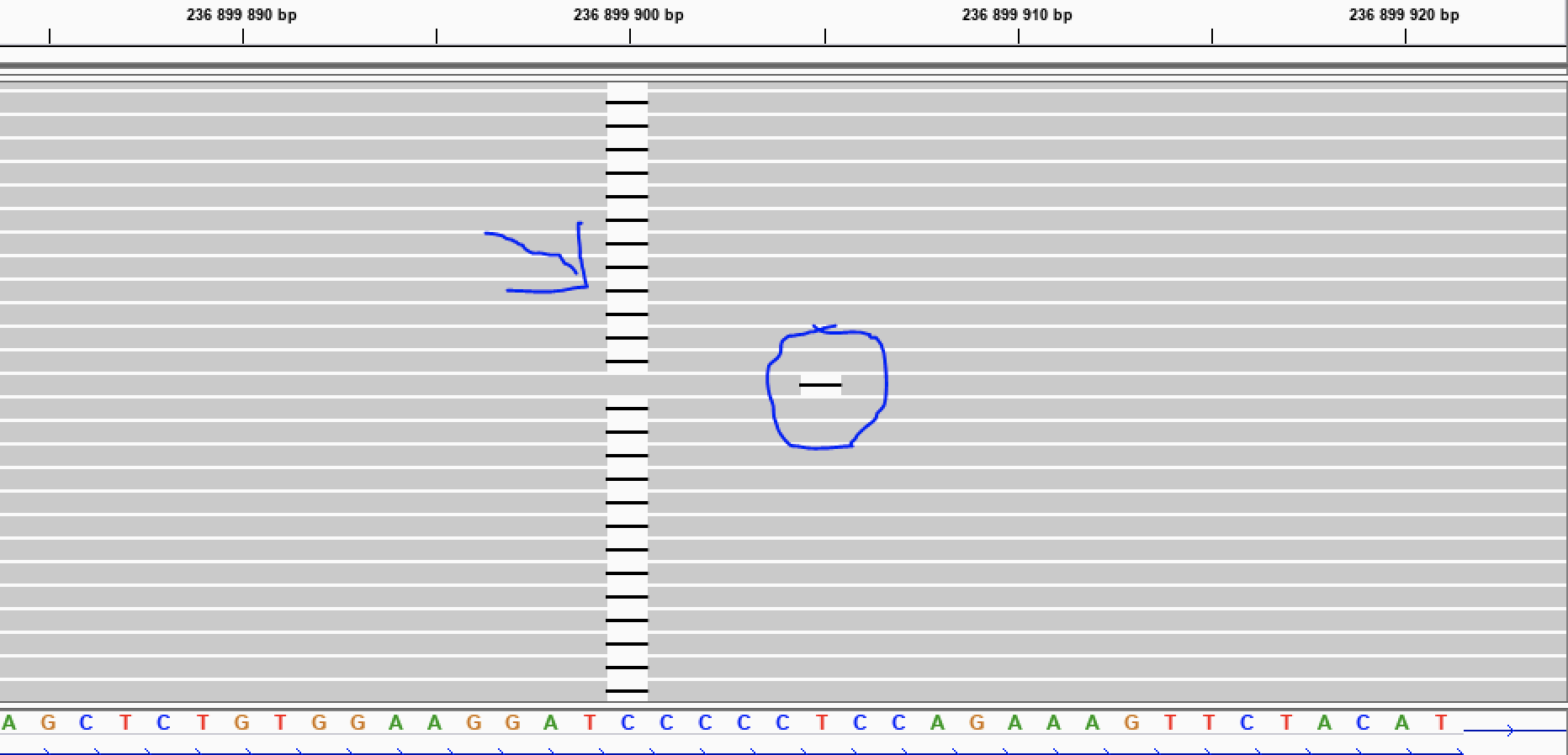 DP and DP4 vary hugely mpileup · Issue #1405 · samtools/samtools · GitHub