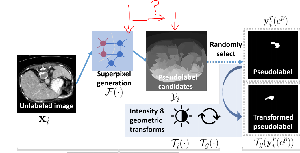About getting the Pseudolabel · Issue #2 · cheng-01037/Self-supervised-Fewshot-Medical-Image ...