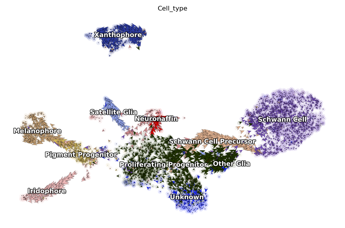 cell wise vector color · Issue #448 · aristoteleo/dynamo-release · GitHub