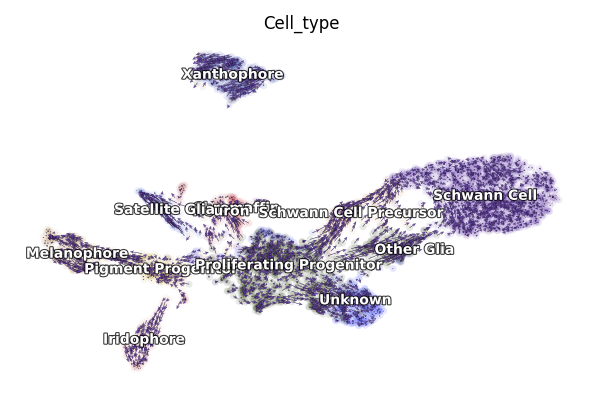 cell wise vector color · Issue #448 · aristoteleo/dynamo-release · GitHub