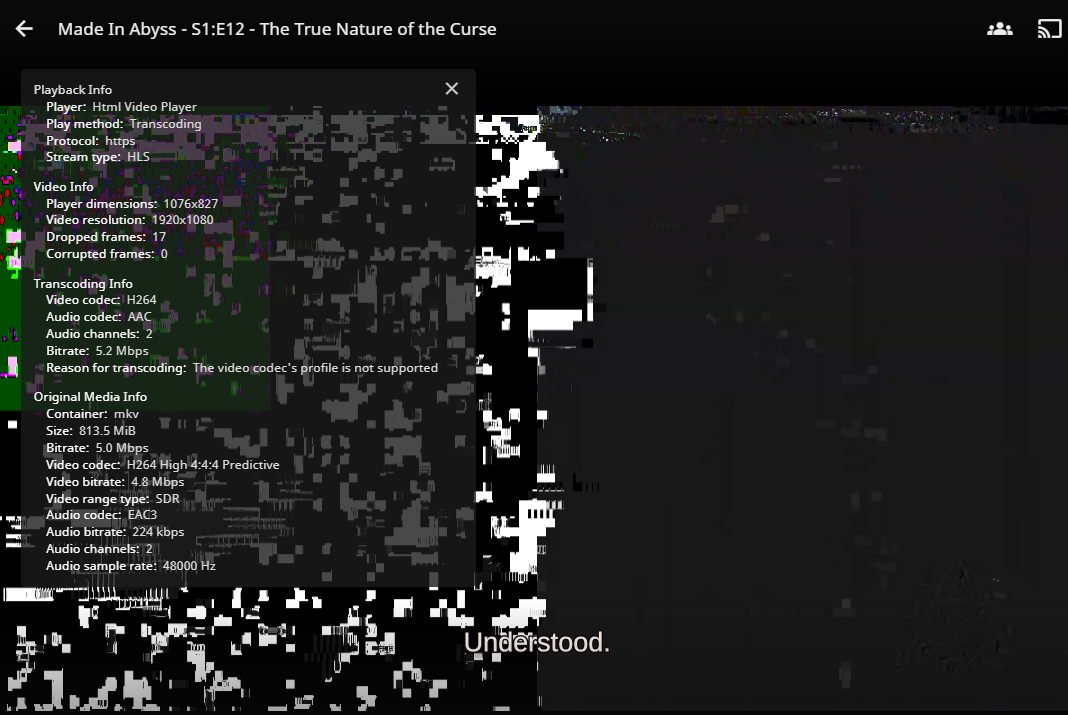 Pixelated Video · Issue #8467 · jellyfin/jellyfin · GitHub