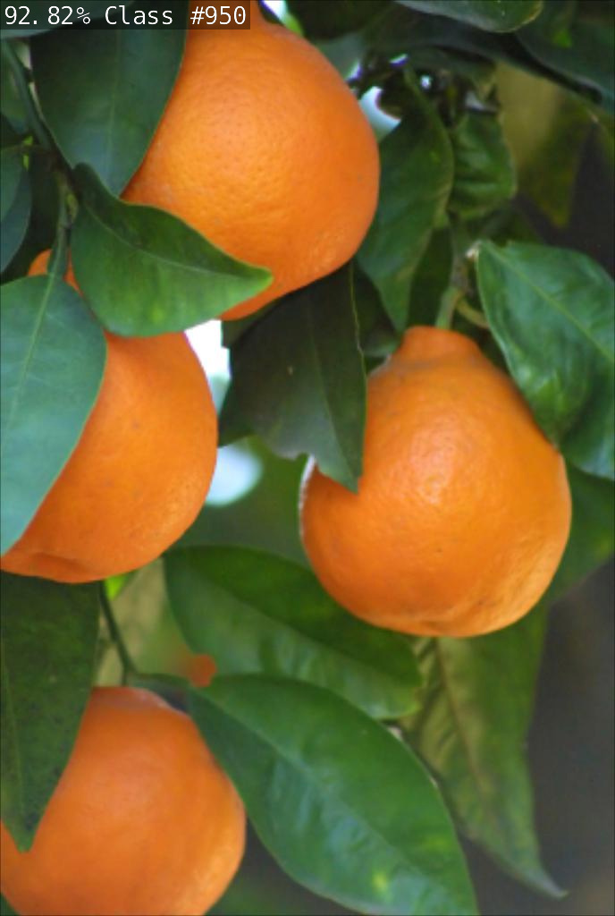 failed to create videoSource device when Run $ imagenet.py /dev/video1 · Issue #1627 · dusty-nv ...