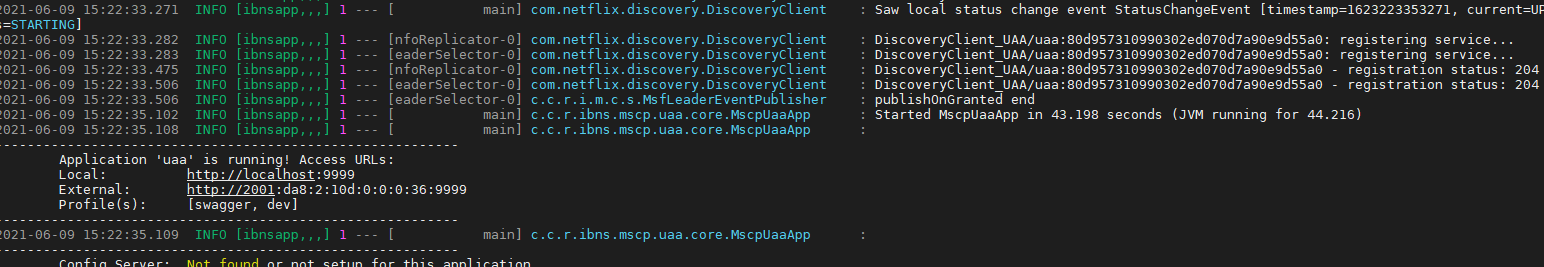 feign can't support ipv6 request · Issue #557 · spring-cloud/spring-cloud-openfeign · GitHub