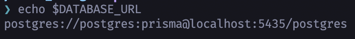 Prisma Not Reading System Environment Variables · Issue 20894 · Prisma Prisma · Github