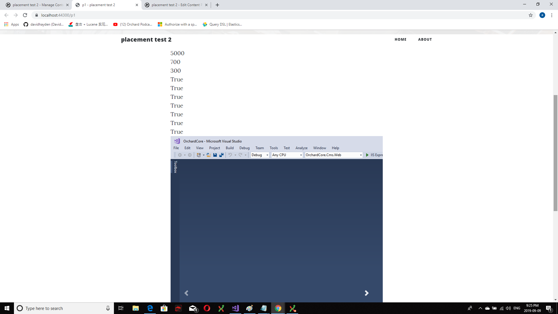 placement.json seems not working · Issue #4202 · OrchardCMS/OrchardCore · GitHub