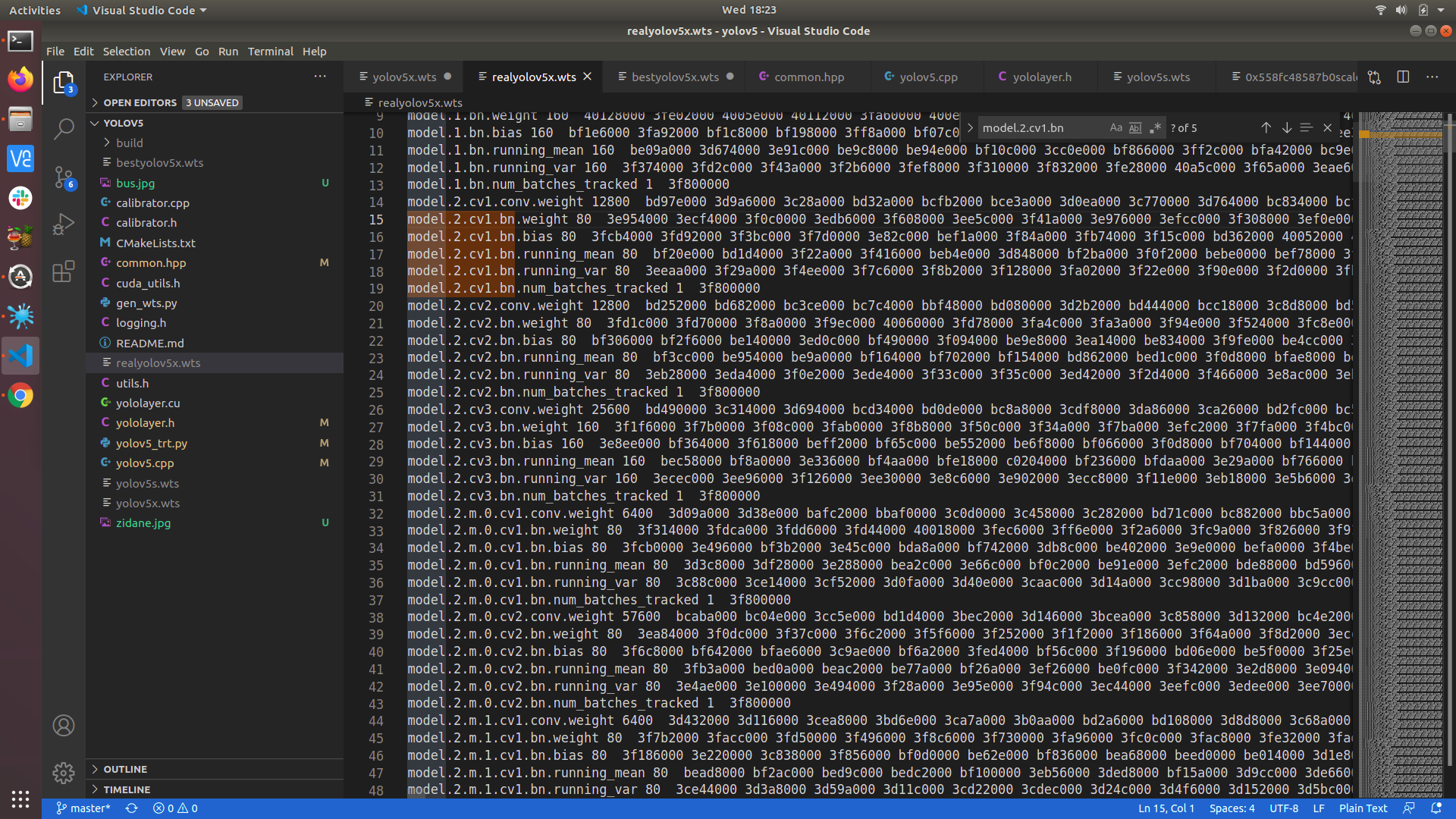 Exception handling for custom weight files (Parameter check failed) · Issue #392 · wang-xinyu ...