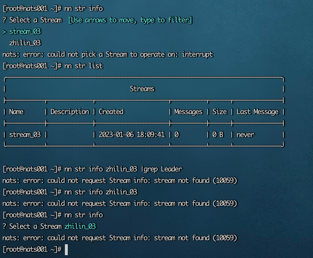 Cannot find an active JetStream from the list · Issue #3767 · nats-io/nats-server · GitHub