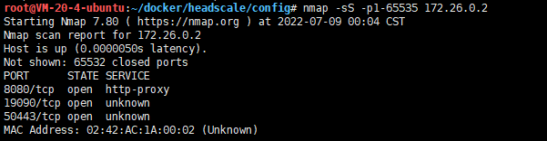 Container's embedded DERP only has STUN port · Issue #673 · juanfont/headscale · GitHub