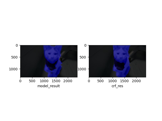 GitHub - jiachen0212/seg_model_for_cat: model for seg my cat, Lihua cat fugui.