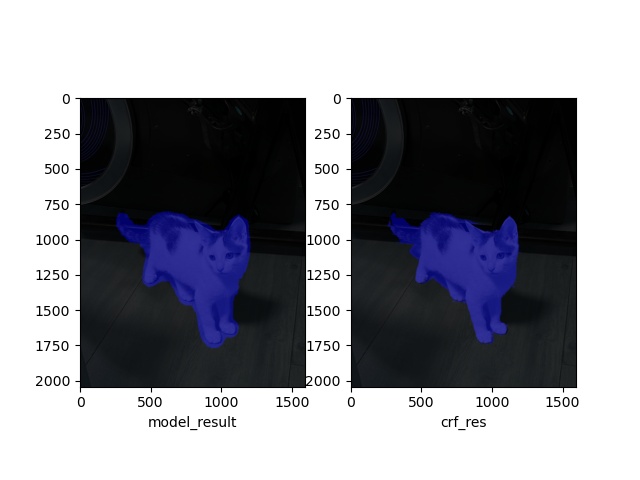 GitHub - jiachen0212/seg_model_for_cat: model for seg my cat, Lihua cat fugui.