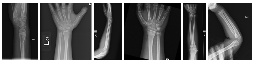 GitHub - asjjun/MachineLearning: 머신러닝을 공부하며 만든 과제