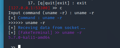 DataDispatcher功能 · Issue #32 · WangYihang/Platypus · GitHub
