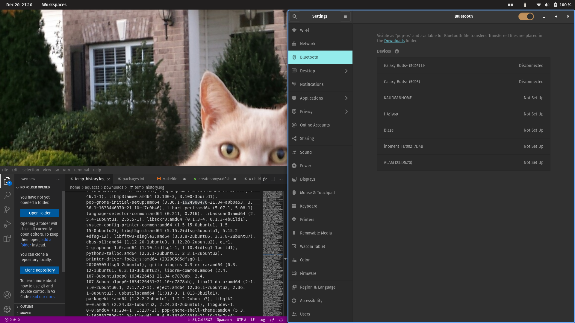 Sporadic ghost windows after minimizing some apps · Issue #2099 · pop-os/pop · GitHub