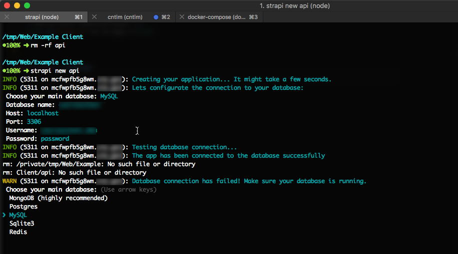 Creating a new strapi app in a path with spaces fails · Issue #631 · strapi/strapi · GitHub
