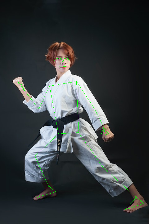 ADD blazepose fullbody · Issue #496 · axinc-ai/ailia-models · GitHub