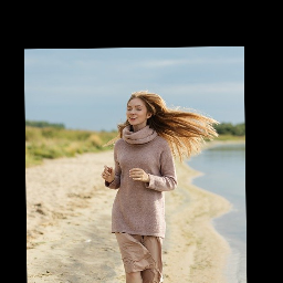 ADD blazepose fullbody · Issue #496 · axinc-ai/ailia-models · GitHub