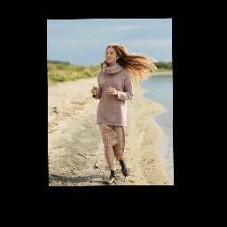 ADD blazepose fullbody · Issue #496 · axinc-ai/ailia-models · GitHub