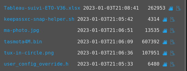 Can't upload files to tasmota file system · arendst Tasmota · Discussion #17575 · GitHub