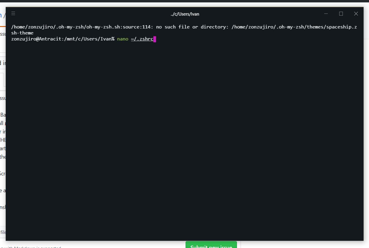 Failed Installation · Issue 271 · Spaceship Promptspaceship Prompt · Github 