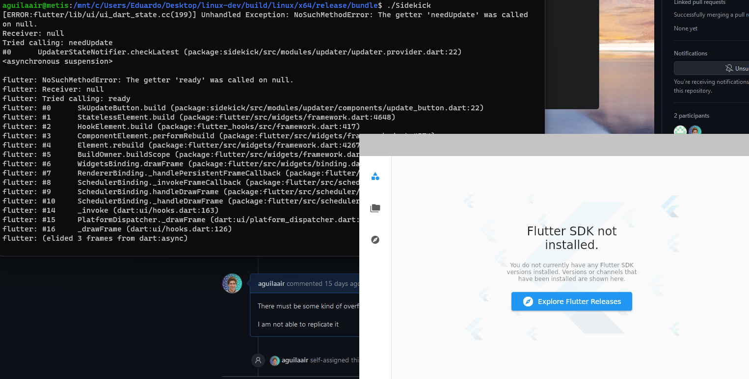 Title bar does not display properly · Issue #167 · fluttertools/sidekick · GitHub