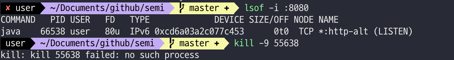 Caused by: java.net.BindException: Address already in use · Issue #4 · C-YooJin/semi · GitHub