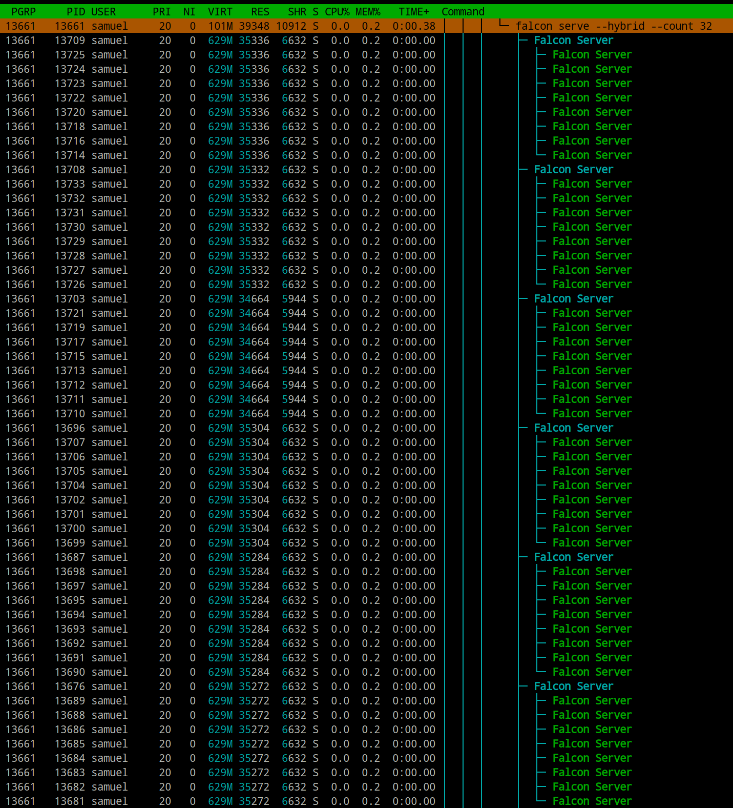 Issue with using hybrid mode · Issue #117 · socketry/falcon · GitHub