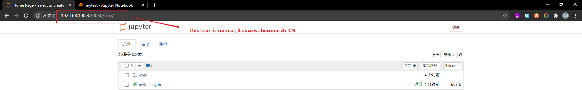 How to change the jupyter notebook url /lab become zh_CN · Issue #5552 ...