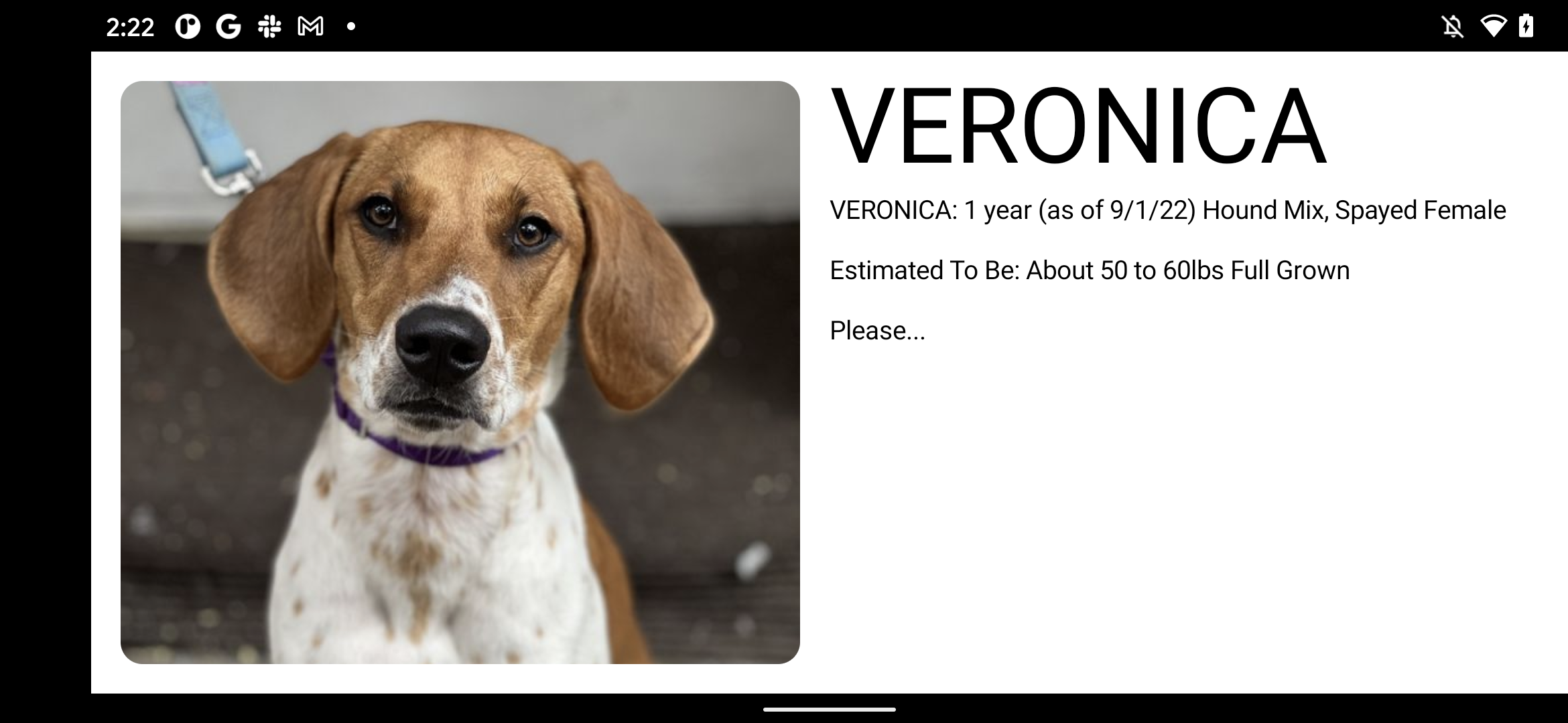 Demo different UIs for different configurations · Issue #40 · slackhq/circuit · GitHub