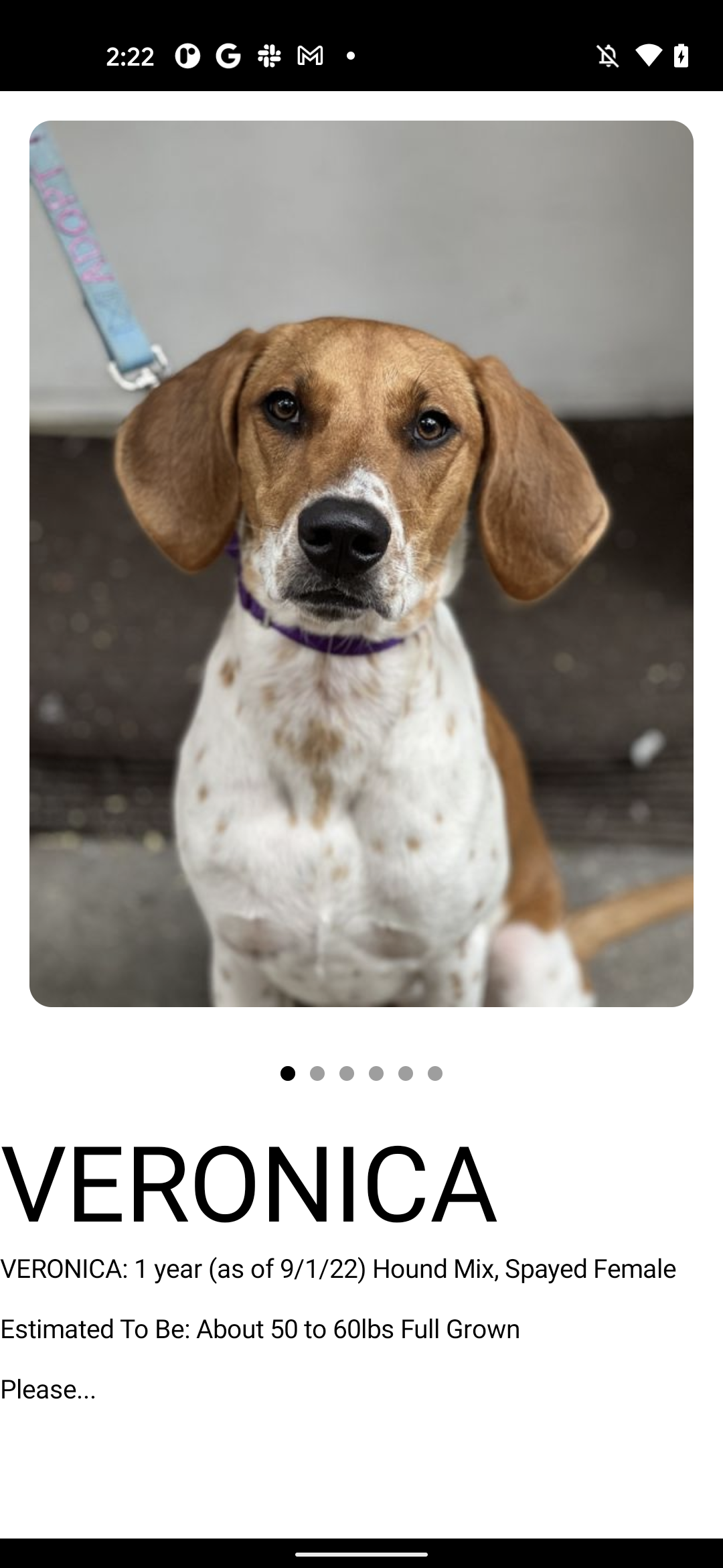 Demo different UIs for different configurations · Issue #40 · slackhq/circuit · GitHub