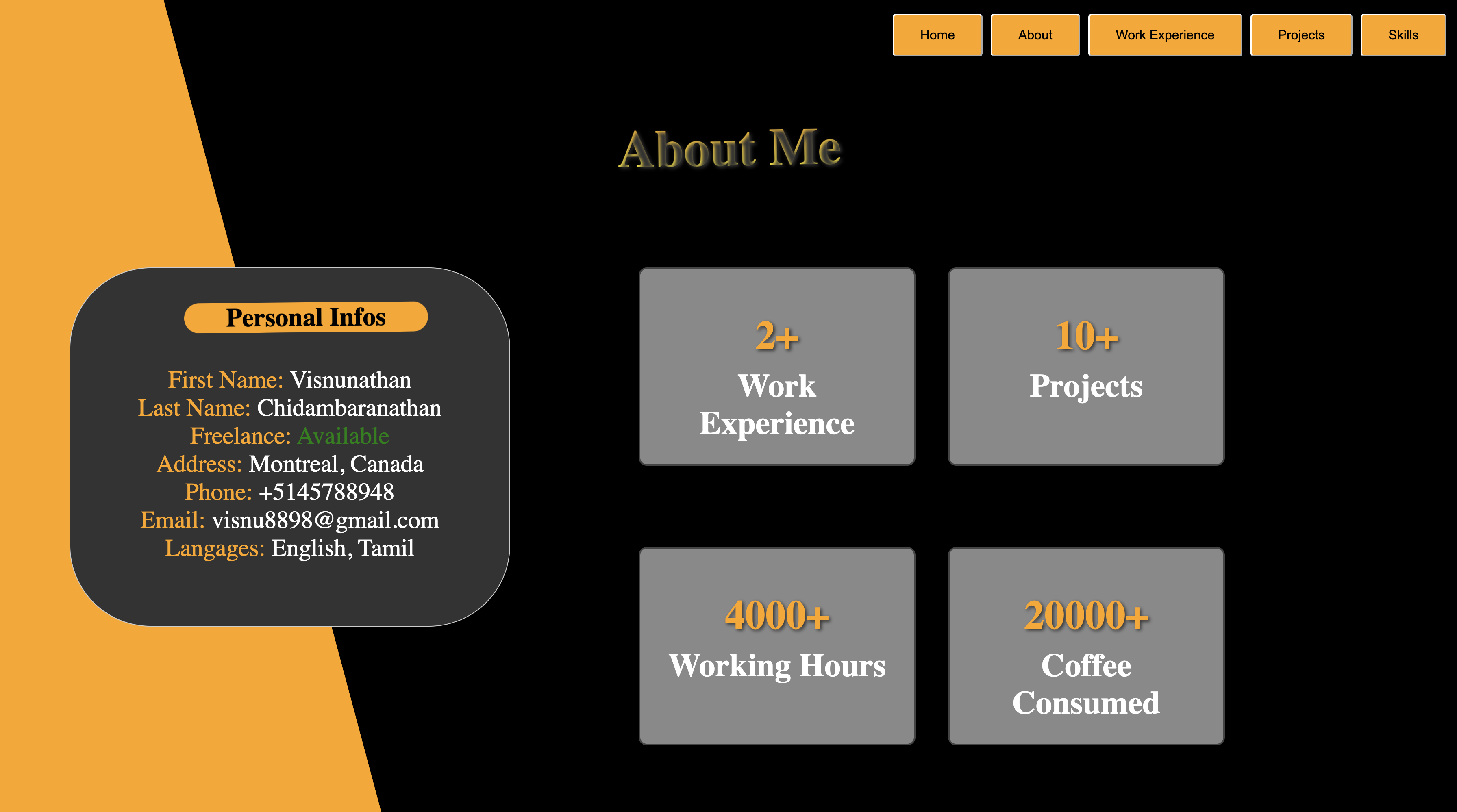 GitHub - visnunathan8/Website-for-Resume-Using-Angular: The website is build using Angular