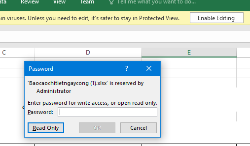 How can i set write access password (readonly mode) for excel file · Issue #270 · dtjohnson/xlsx ...