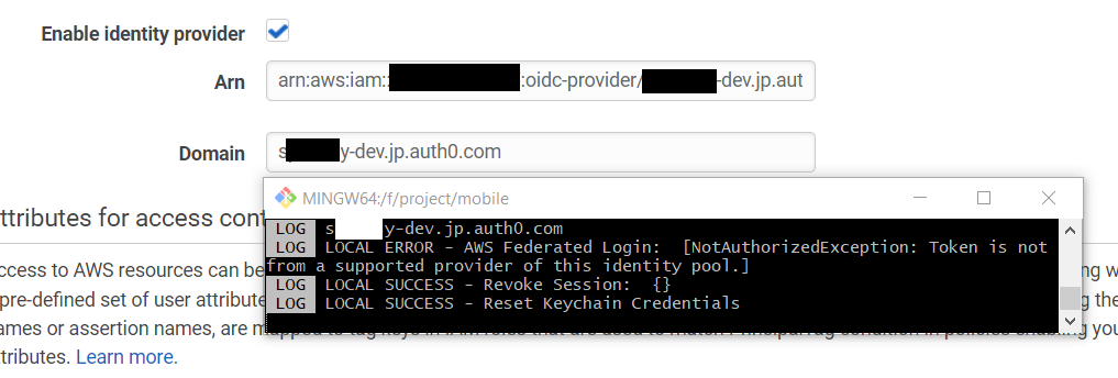 Federated with Auth0 - Invalid login token. Issuer doesn't match ...