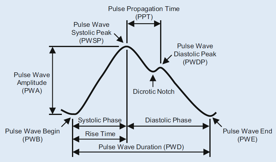 Simulating BVP/PPG signal (implementing an equation) · Issue #25 · neuropsychology/NeuroKit · GitHub