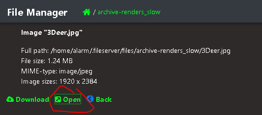 Opening and previewing files not working. · Issue #490 · prasathmani ...