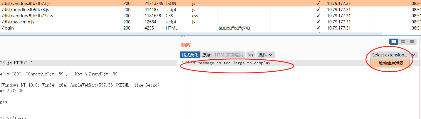 js过大时分析导致burpsuite无法加载js的响应 · Issue #4 · ScriptKid-Beta/Unexpected_information · GitHub