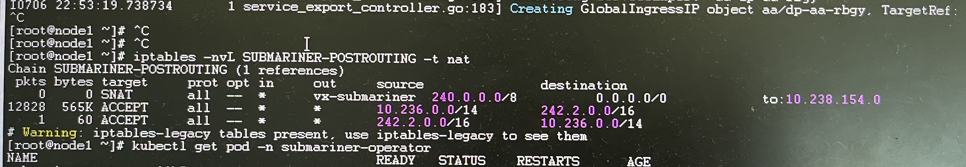 iptables SUBMARINER_GN_EGRESS is not right set in globalnet project, using images with arm64 ...