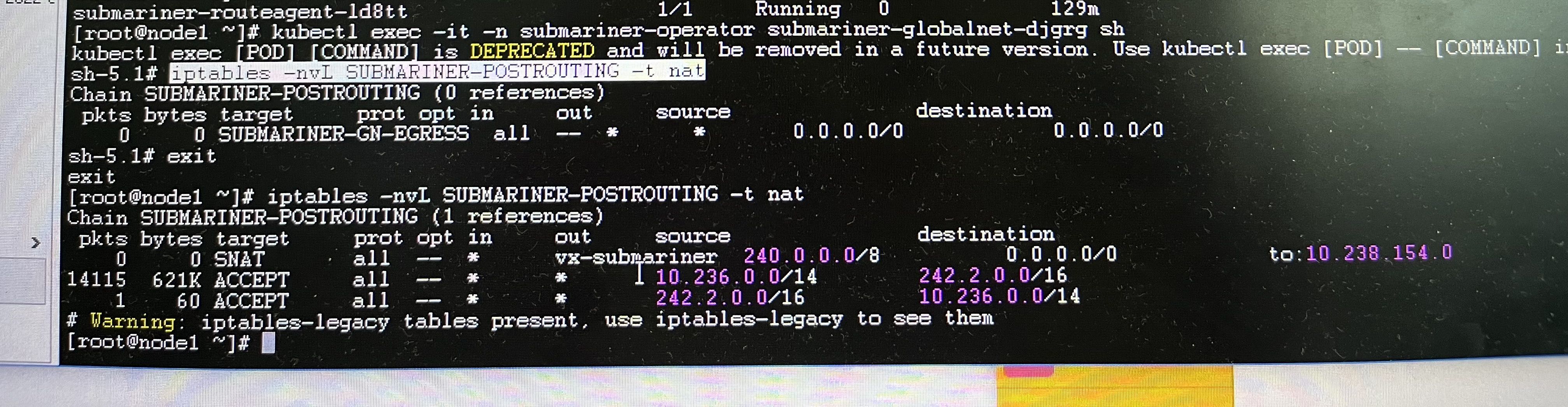 iptables SUBMARINER_GN_EGRESS is not right set in globalnet project, using images with arm64 ...