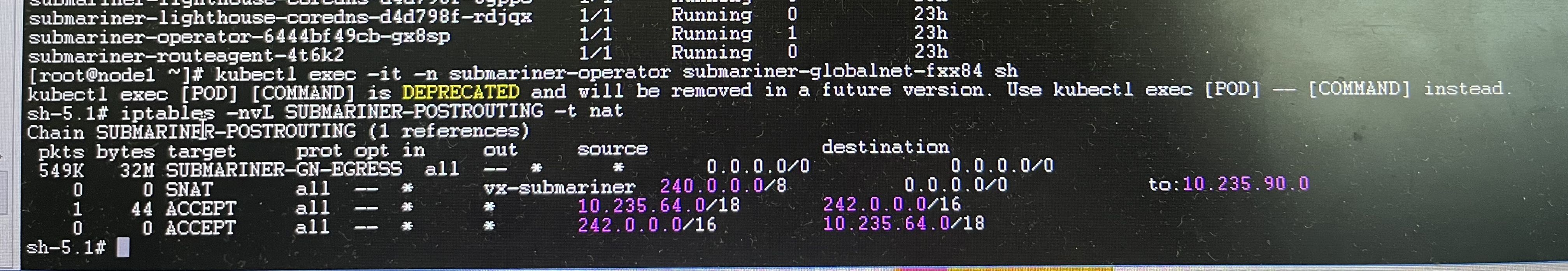 iptables SUBMARINER_GN_EGRESS is not right set in globalnet project, using images with arm64 ...