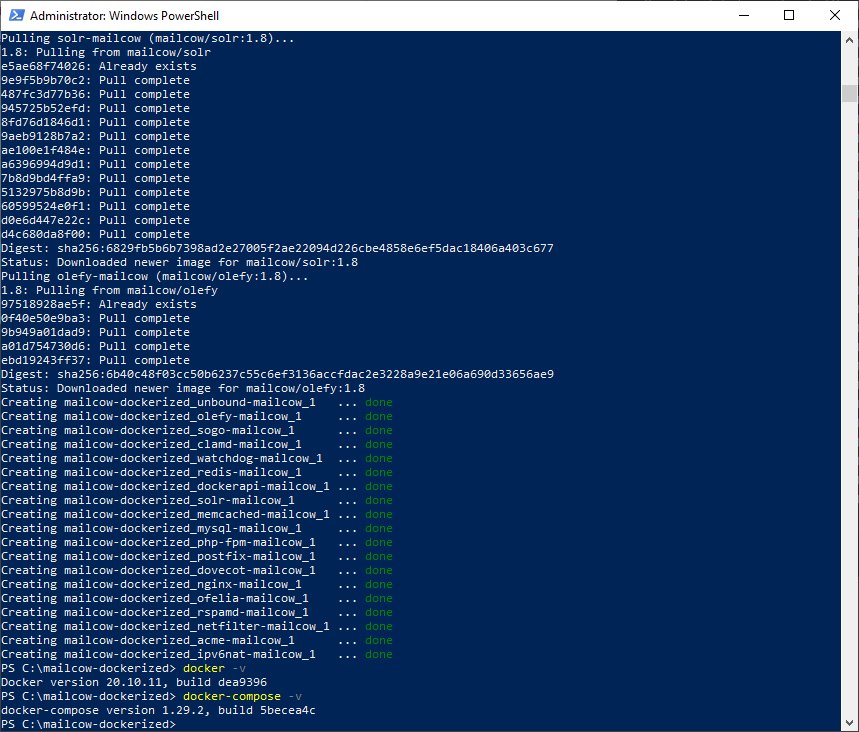 nginx server restart loop · Issue #4423 · mailcow/mailcow-dockerized · GitHub