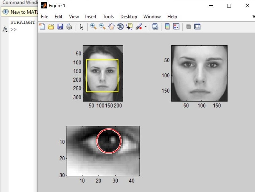 GitHub - soumiknafiulferdous/Eye-Direction-Detection-From-Image ...