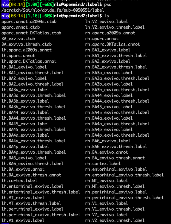 Using fsaverage5 freesurfer output for fsaverage6 run? · Issue #2072 · nipreps/fmriprep · GitHub