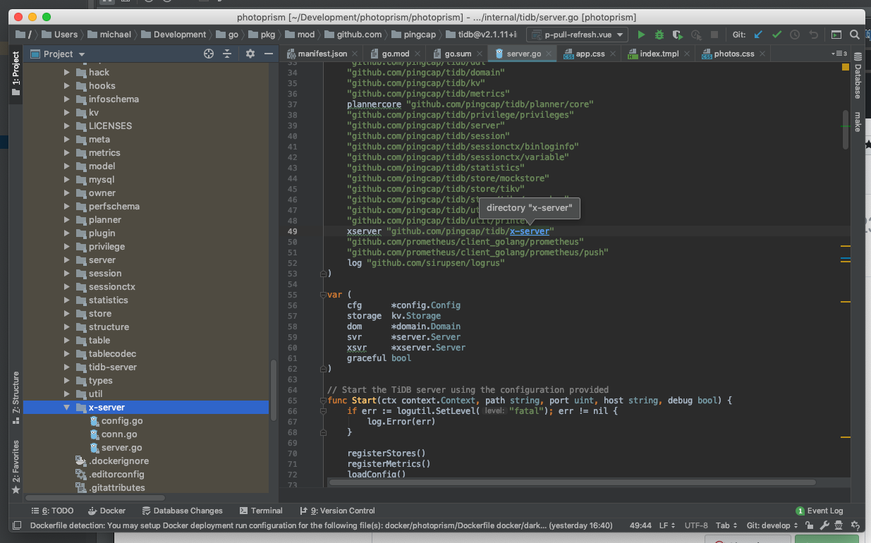 where is the file: github.com/pingcap/tidb/x-server? · Issue #123 · photoprism/photoprism · GitHub