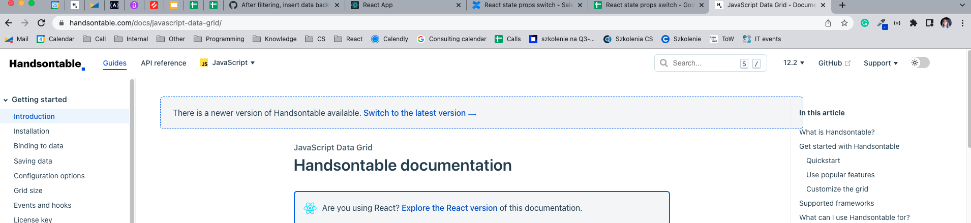 Docs: Wrong version flashes after opening page after user switch between JS and React version ...