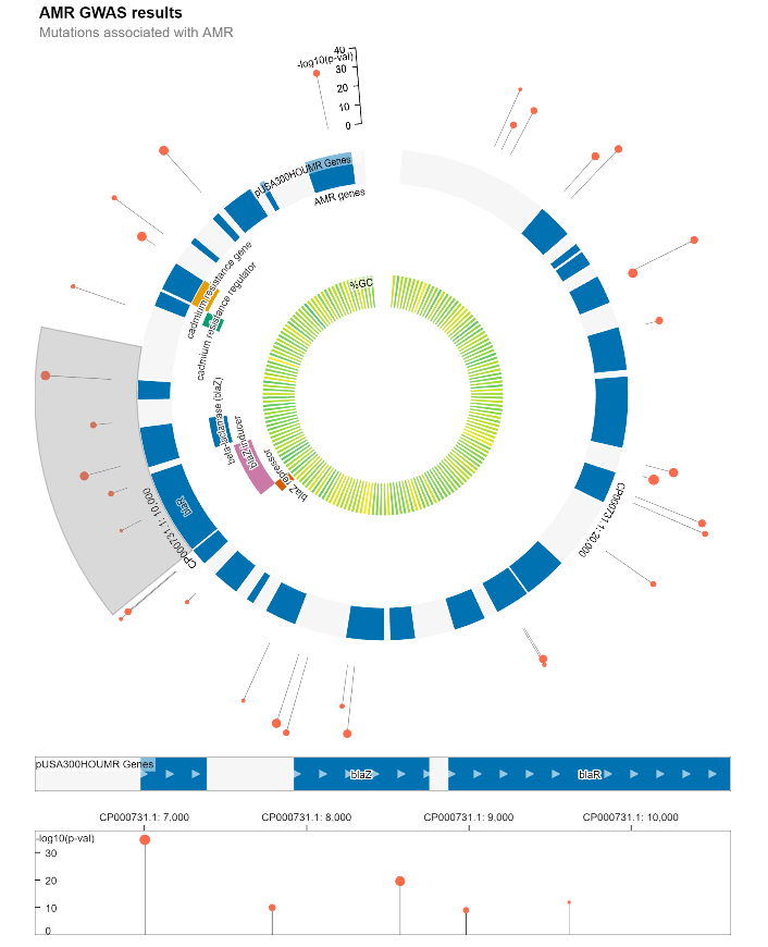 Doesn't render properly when converted to html · Issue #798 · gosling-lang/gosling.js · GitHub