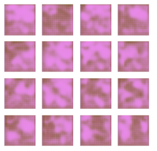 Github Hrkhak Dcgan Generate Sunflower Implementation Of Dcgan To Generate Flower