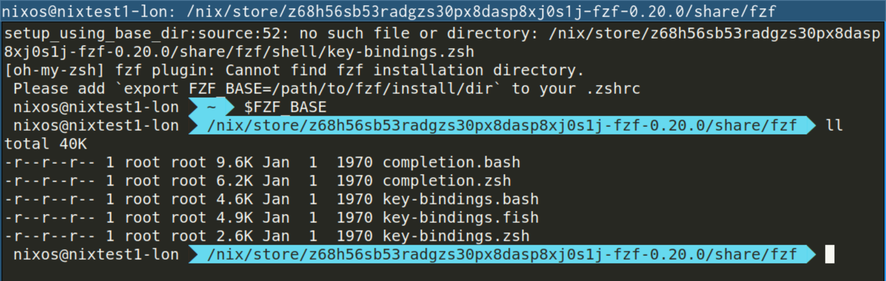 NixOS package not up to speed with master for fzf · Issue #9146 · ohmyzsh/ohmyzsh · GitHub