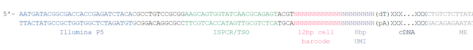 Failing in installing celescope · Issue #28 · singleron-RD/CeleScope · GitHub
