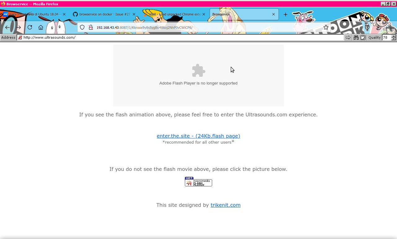 load-extension=/path/to/extension with chromium-args Not Work Ruffle on Browservice · Issue #48 ...