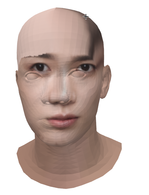 texture problem · Issue #137 · yfeng95/DECA · GitHub