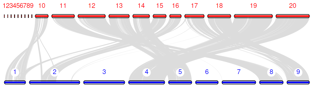 Synteny in dotplot disappear in karyotype plot. · Issue #258 ...